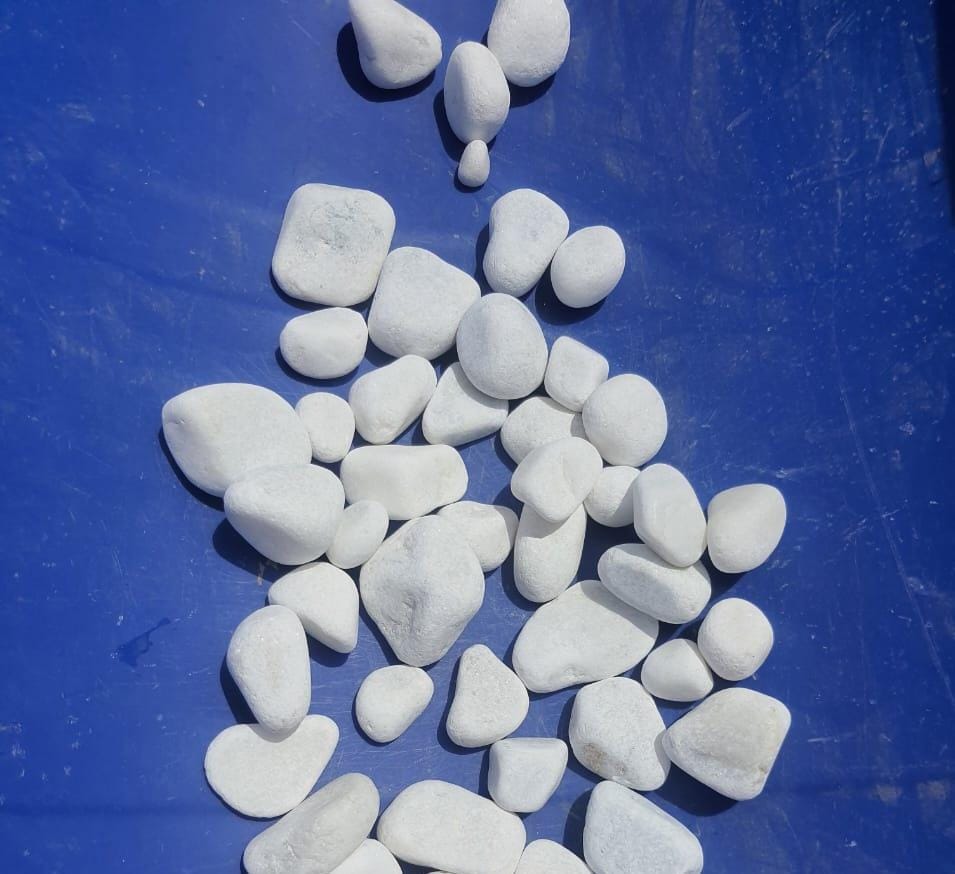 Snow White Pebble – AMJC Group